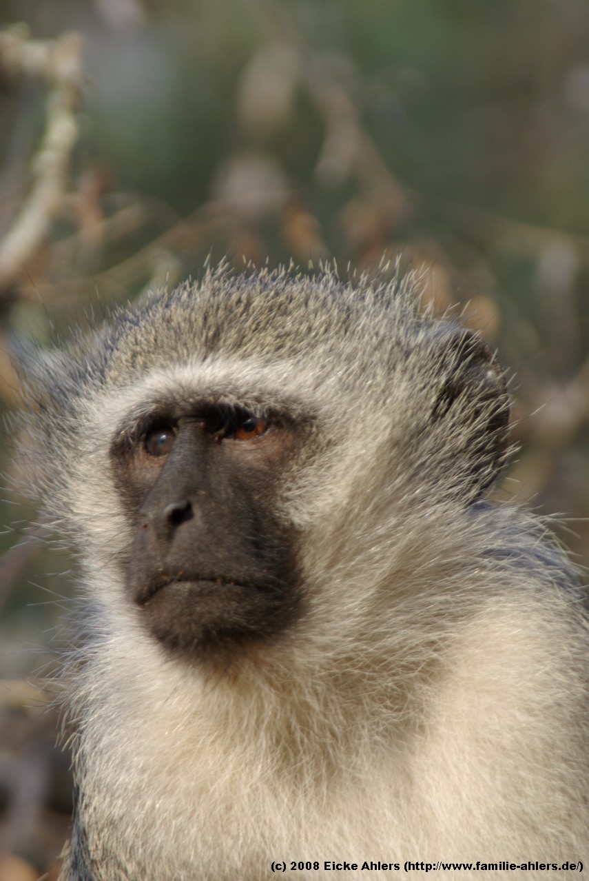 Reisebericht Südafrika